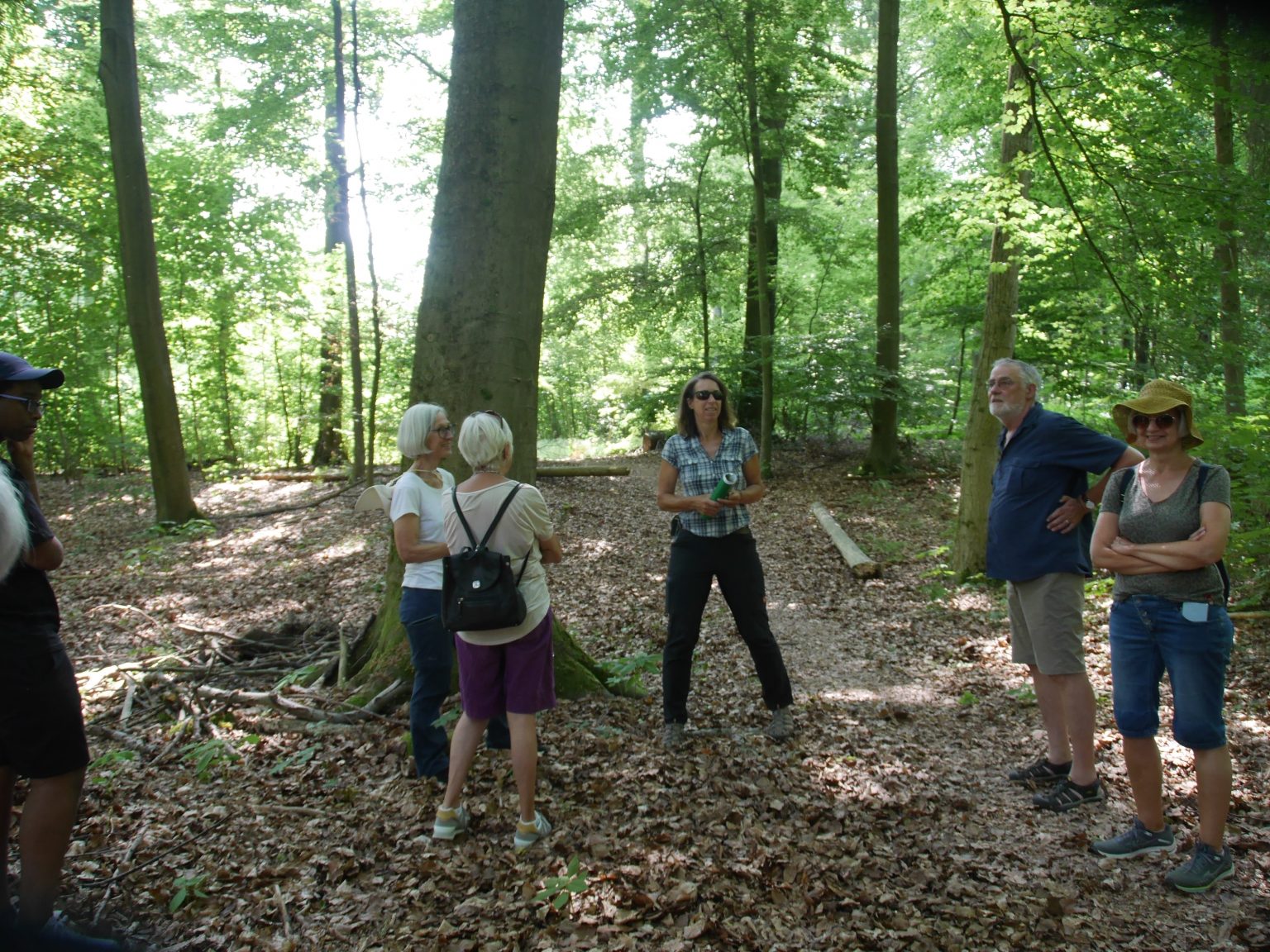 BiG TEAM WALD: EXKURSION VOM 18.Juni 2023. Mit Yvonne Heil und Annette ...